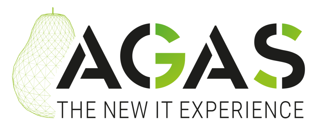 מעגלי אבטחת המידע בפעולה – עיר מערכות המידע שלך במצור - AGAS